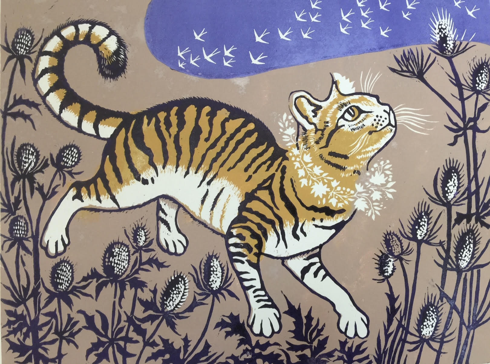 Thistle Cat 1/60 by Teresa Winchester | Byard Art