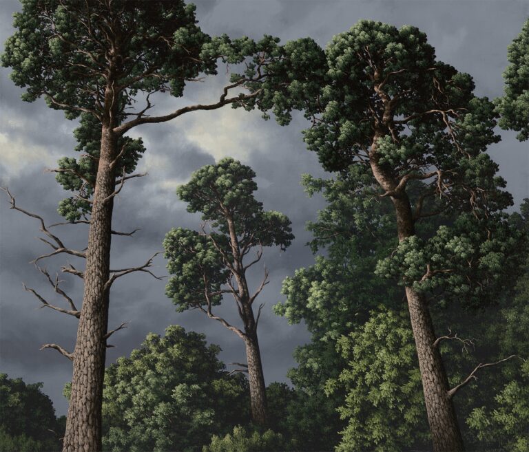 Windbreaker by Luke Woodgate | Byard Art